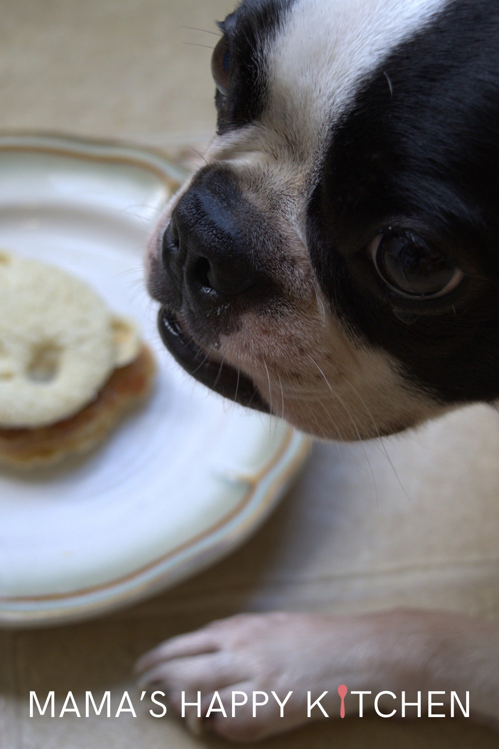 Easy Panda Peanut Butter Jelly Frozen Sandwiches for School Lunches